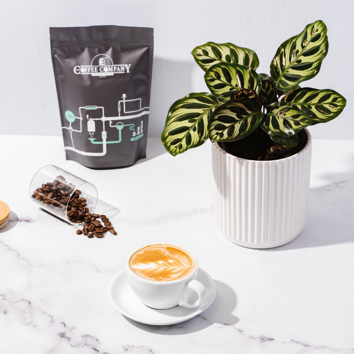 45 Years Reserve Blend – The Coffee Company