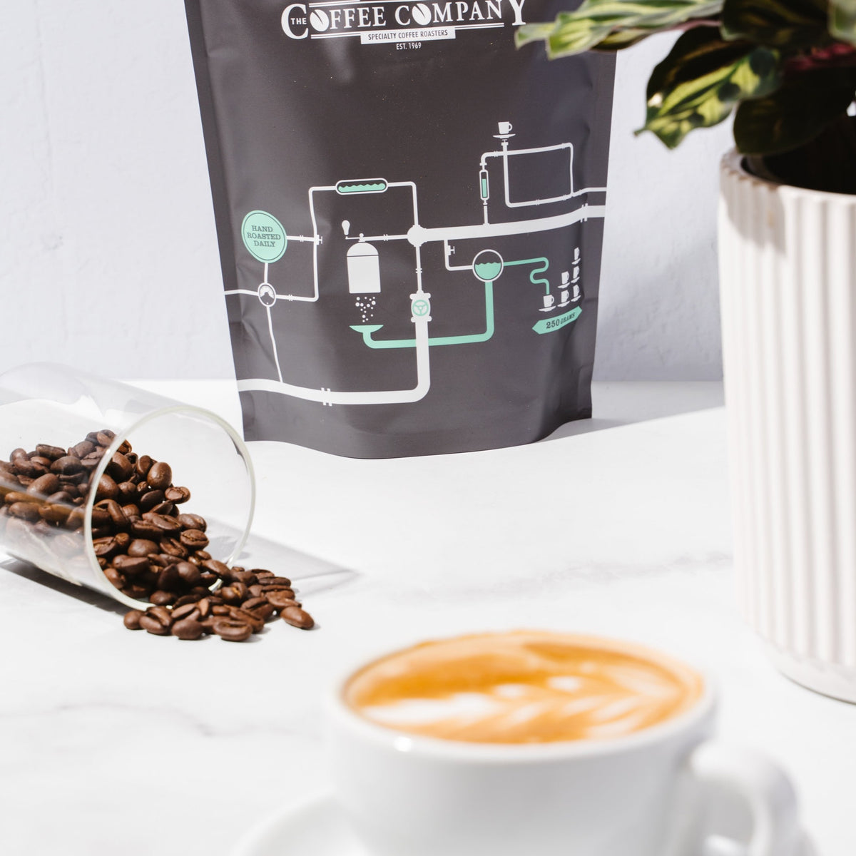 Balkan Blend with cardamom – The Coffee Company