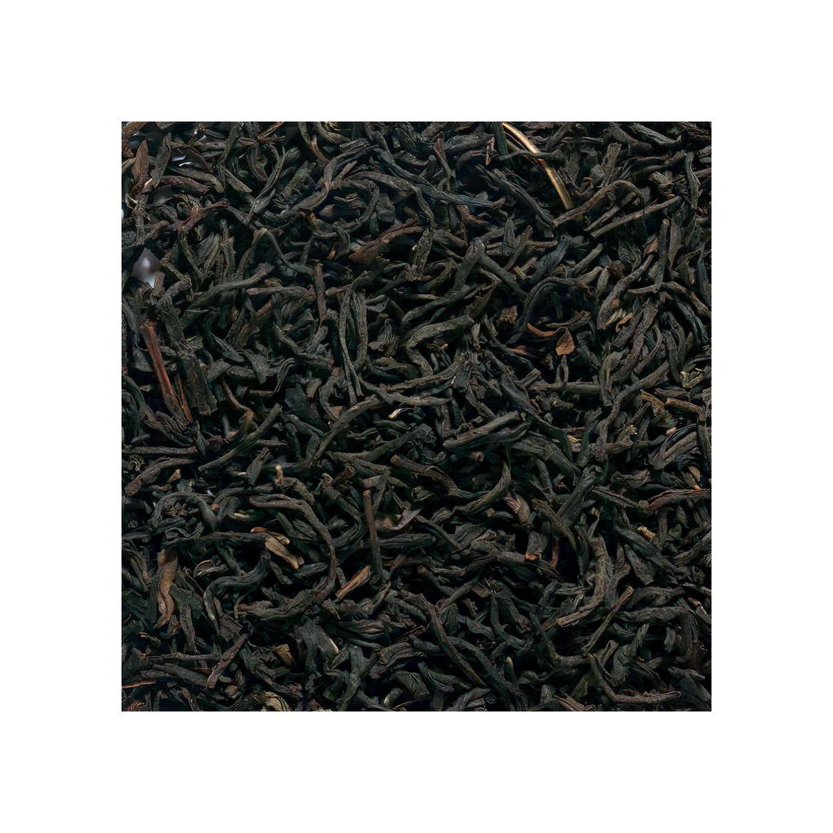 Assam Organic – The Coffee Company