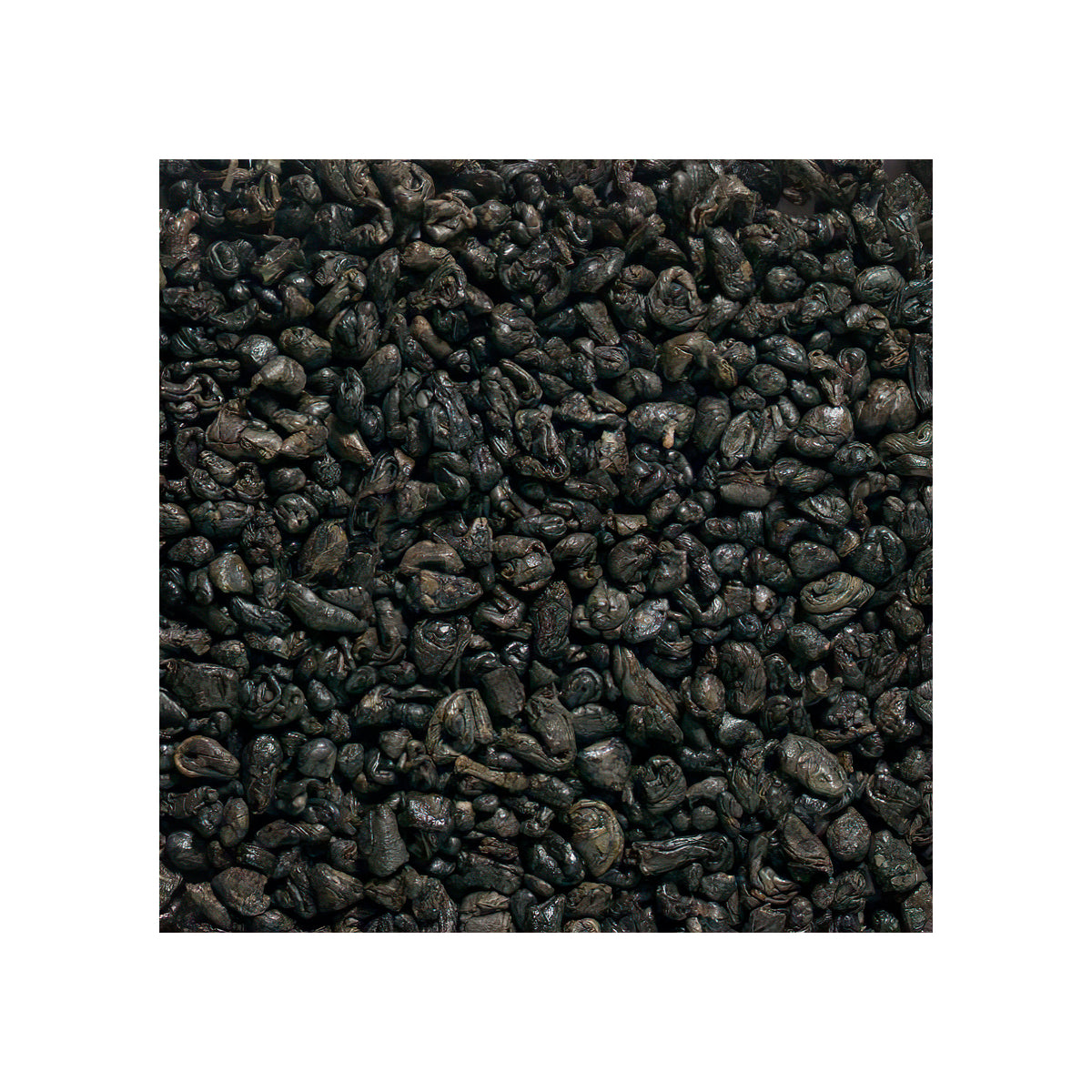 Gunpowder – The Coffee Company