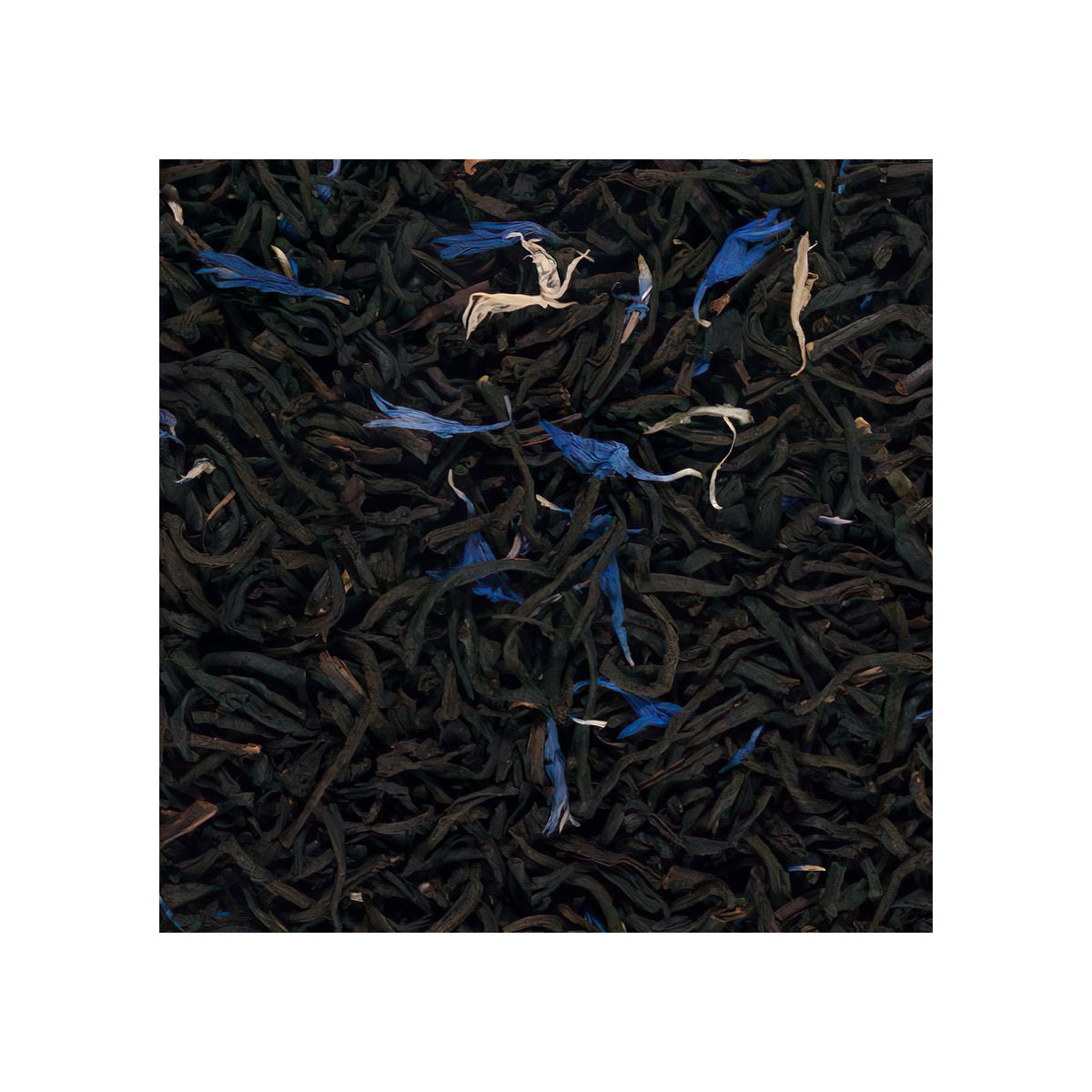 Ms Grey – The Coffee Company